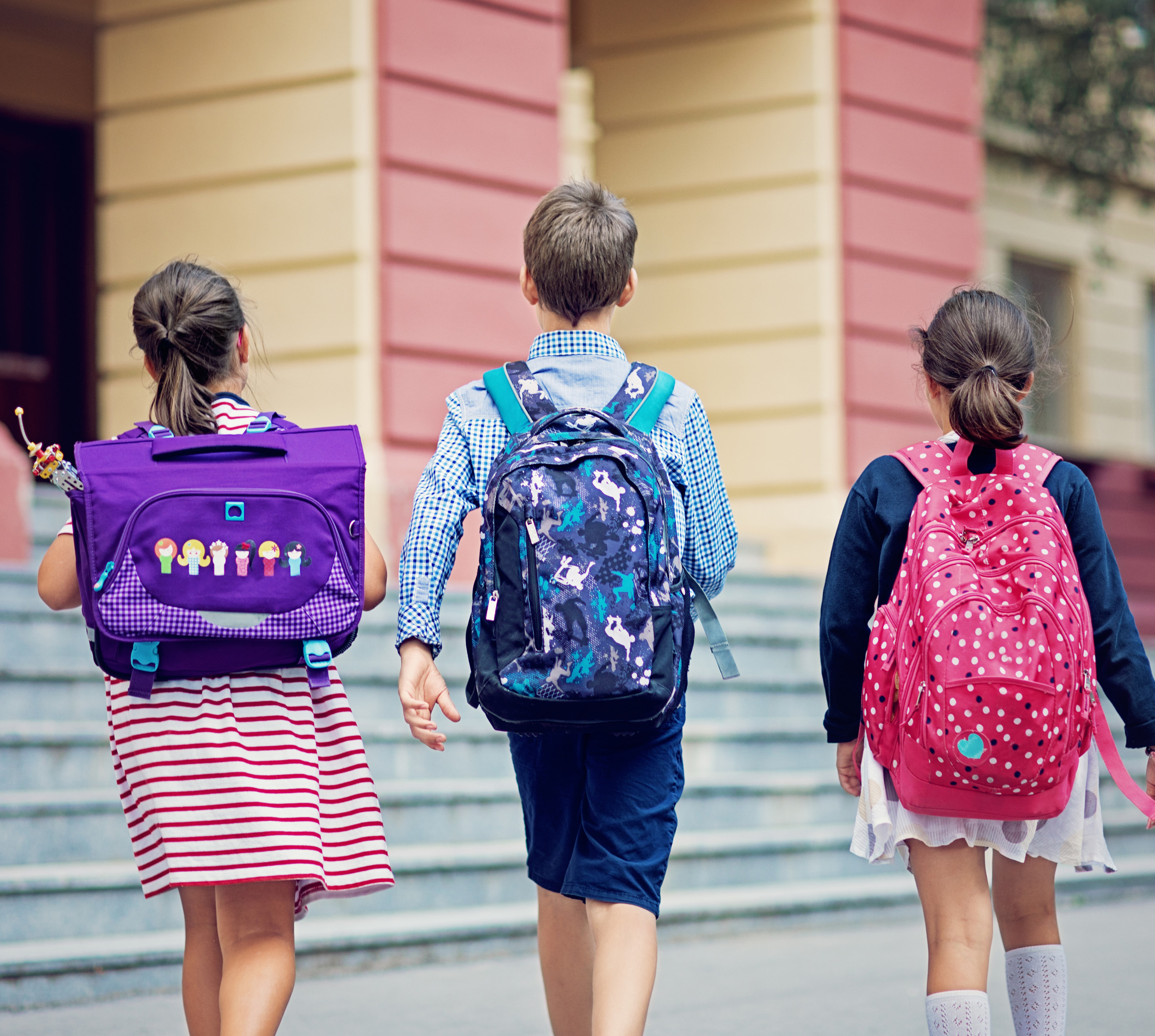 "Bücher machen Schule"