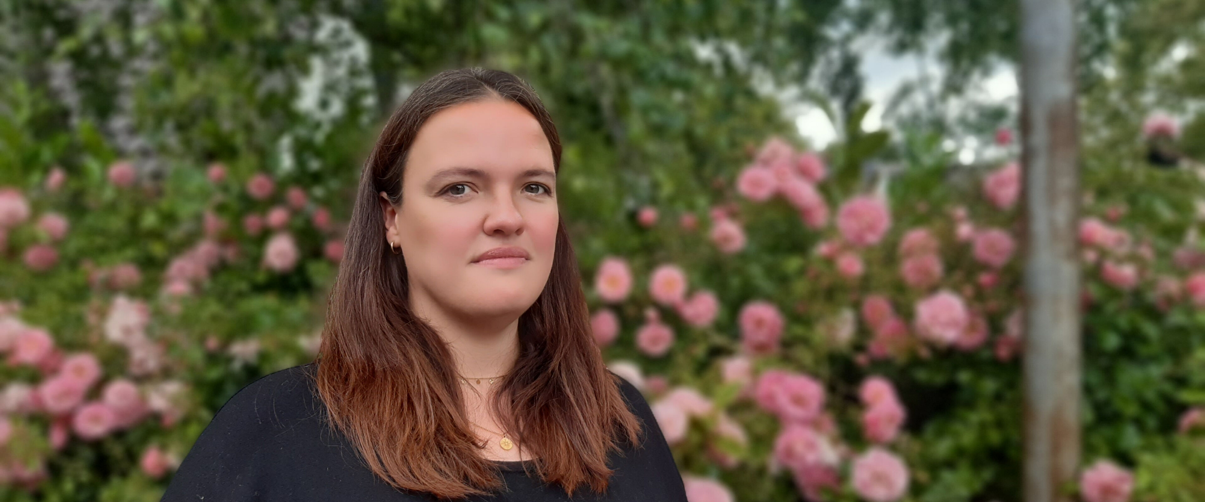 Evangelisch-lutherischer Kirchenkreis Wolfsburg-Wittingen